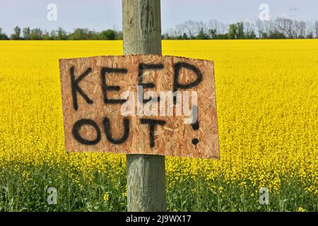Homemade Keep Out Signs Posted at Edge of Canola Field to Warn ...