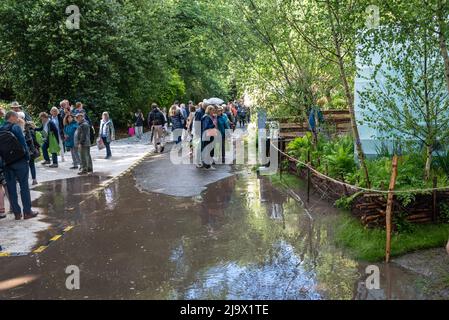 Heavy rain at Chelsea Flower Show Stock Photo - Alamy