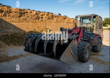 Farmer unloading round bales of straw with a front end loader Storing ...