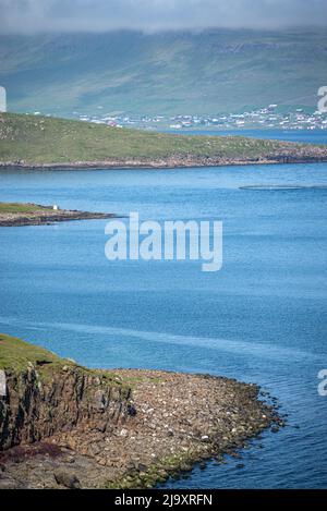 Islet of Tjaldavik (Tjaldaviksholmur) with Tvoroyri in the background ...