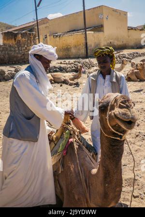 Camel Seller in Traditional Eritrean Dress on the Animal Market Stock ...