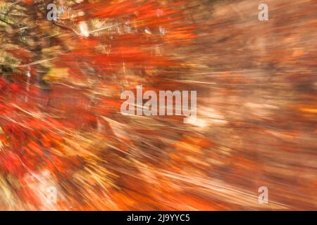 The abstracted blur autumn color Stock Photo - Alamy