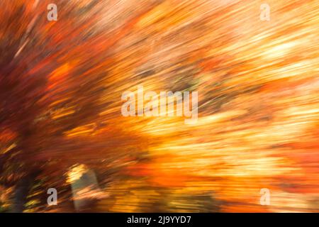 The abstracted blur autumn color Stock Photo - Alamy