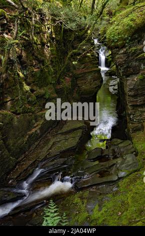 Waterfall on the Cynfal river ravine Stock Photo - Alamy