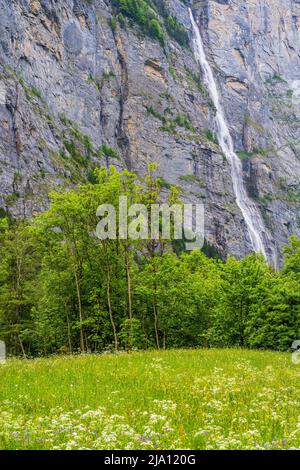 Lauterbrunnen Village and Wall, Lauterbrunnen Valley, Lauterbrunnen ...