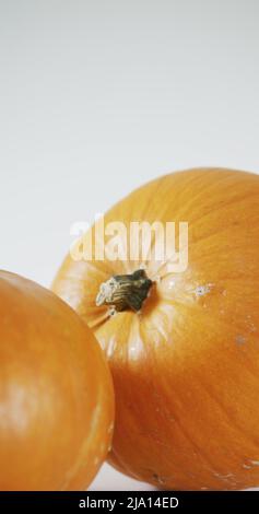 Vertical image of pumpkins on white background Stock Photo - Alamy