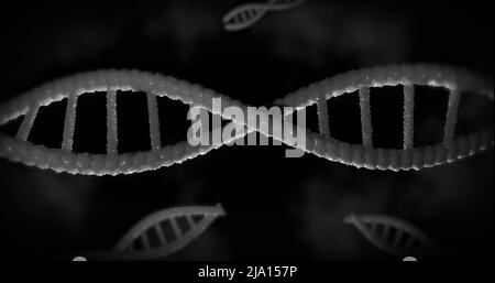 Image of macro of grey 3d dna strands spinning Stock Photo - Alamy