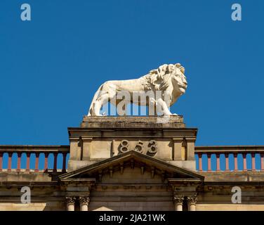 Coade stone statue of lion atop the Lion Buildings on John Williams ...