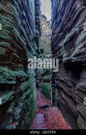 Rock gorge on the Mullerthal Trail, hiking trail through wild rocky ...