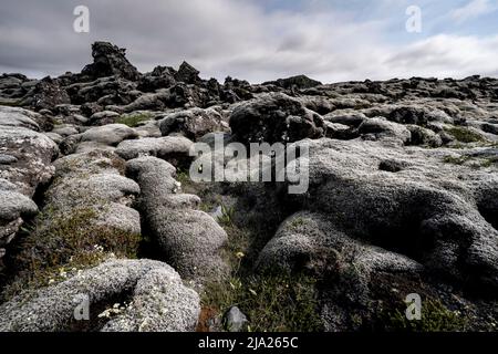 Lava rocks overgrown with moss, lava field, Reykjanes Peninsula ...