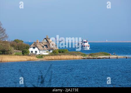 Paddle steamer Schlei Princess, Rabelsund, Rabel, Schlei, Schleswig ...
