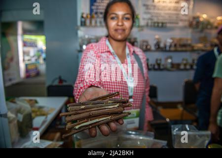 Woman seen showing Herbal Neem Datun (teeth cleaning twig) during the ...