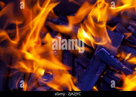 the flame from the fire during its kindling , the fire with natural ...