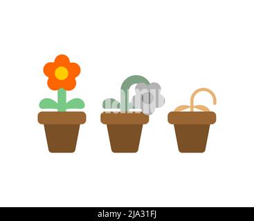 Growth, wither and wilt evolution phase, flower plant in pot. Isolated ...