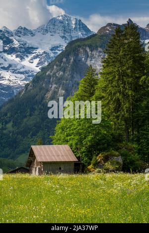 Spring landscape with valley and mountains in background. View from The ...