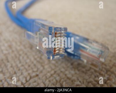 The front of the UTP LAN cable with sticker label connected line ...