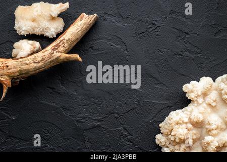 Natural mineral rock stones with snag tree branch Stock Photo - Alamy