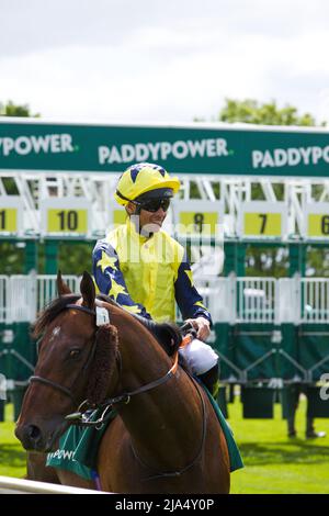 Sean Levey, jockey Stock Photo - Alamy