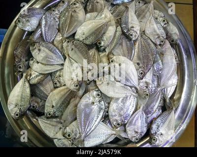 Fish Market in Dammam, Saudi Arabia Stock Photo - Alamy