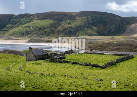 Ruined croft just off the A836 near Achina Sutherland, part of the ...