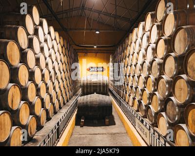 Tequila Barrels, Tequila, Jalisco, Mexico Stock Photo - Alamy