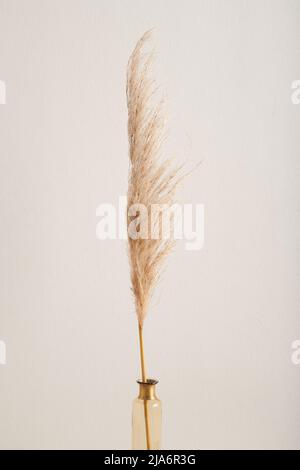 Vertical minimalistic still life shot of fresh white flowers, dark ...