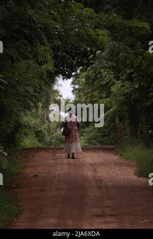 Sri lankan beautiful flower and gurden image for wallpaper and other ...