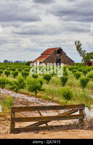 Wooden house with trees around it in sunny day Stock Photo - Alamy