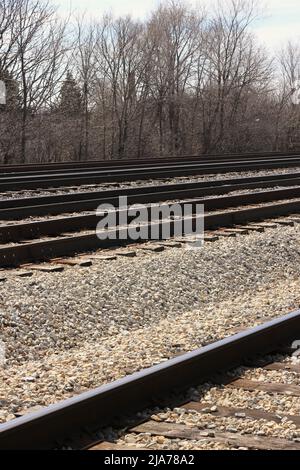 Typical common railroad tracks crossing the plains on a bright sunny ...