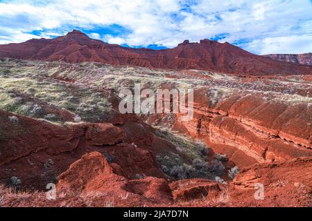 Colorful flora and geology on Castle Valley outside Moab, Utah Stock ...