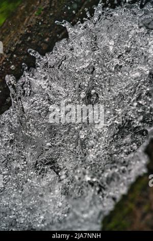 macro shot of water at a waterfall at a levada in madeira Stock Photo ...