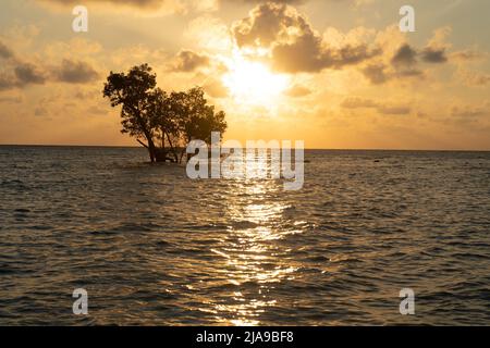 low sunrise shot with the light and red colors reflected in the waves ...