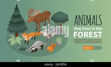 Isometric forest animal horizontal composition with infographic bar ...