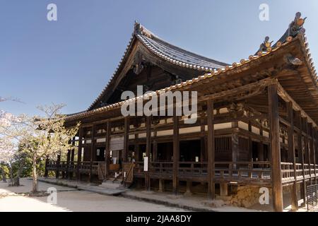 Senjokaku Pavilion of Hokoku Shrine aka Toyokuni Shrine with cherry ...