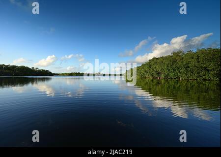 Afternoon cloudscape reflected on calm water of Paurotis Pond in ...