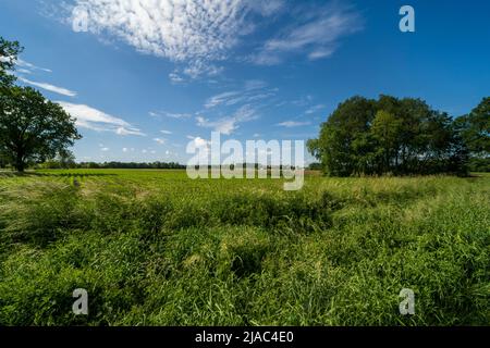 nature landscape in Weert near the Belgium border Stock Photo - Alamy
