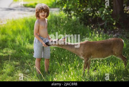 Cute child feeding a fawn. Unity with nature. Pretty boy with graceful ...