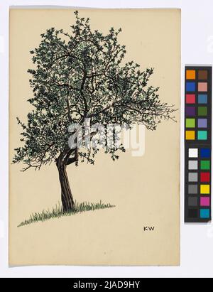 Without title (deciduous tree). Karl Wiener (1901-1949), artist Stock ...