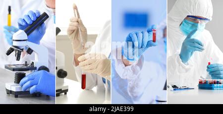 Collage with scientists working with samples in laboratory Stock Photo ...