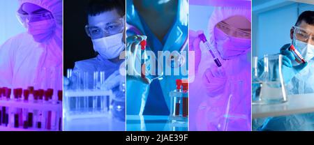 Collage with scientists working with samples in laboratory Stock Photo ...