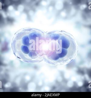 Cell Division. Stages of Mitosis. Cellular Therapy. Horizontal banner ...