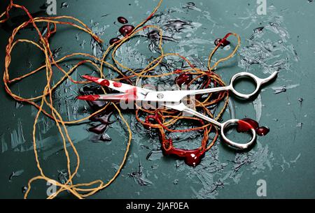 shear scissors with blood and threads Stock Photo - Alamy