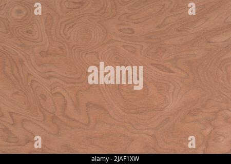 Radica Exotic wood panel texture pattern Stock Photo - Alamy
