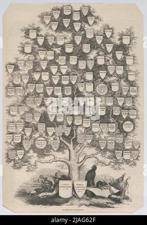 Genealogical record of the Bonaparte family from Sarzane, France ...