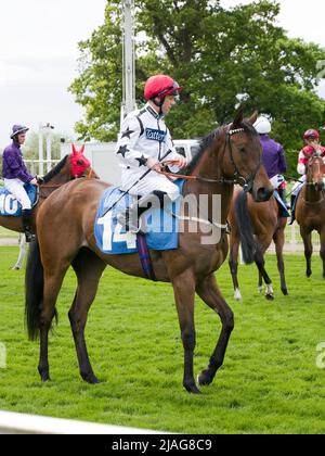 BEN CURTIS, JOCKEY, 2022 Stock Photo - Alamy