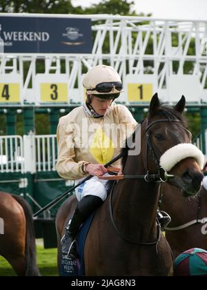 Jockey Oisin McSweeney on Catch Cunningham at York Races Stock Photo ...