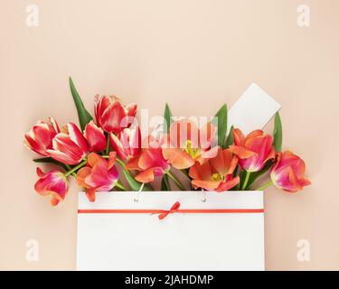 Pink tulips in pink paper bag. Copy space. Mothers Day, Birthday ...