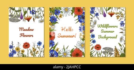 Set of wildflowers botany designs. Colorful hand drawn vector ...