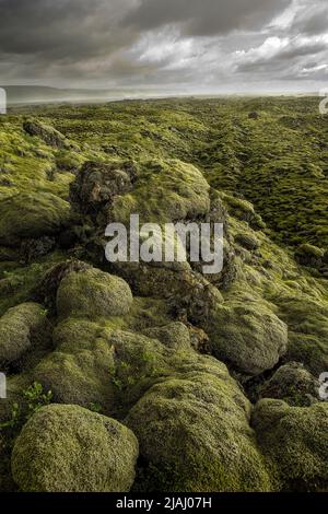 A lava field on the Southern Coast of Iceland with snow, ice, rocks and ...