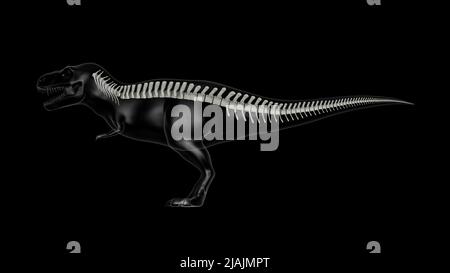 Skeletal system of Tyrannosaurus rex, side view Stock Photo - Alamy